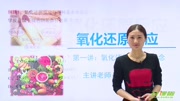 氧化还原反应的概念(2)