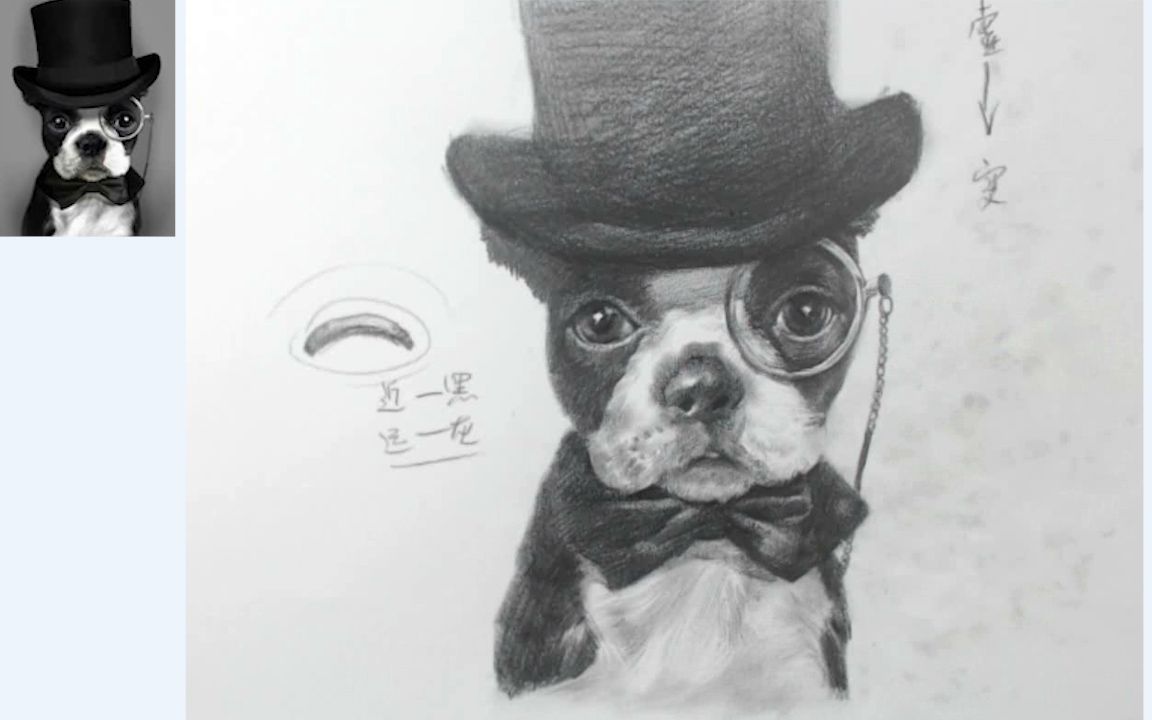 素描动物教程,不一样的毛发塑造方法,让画面瞬间高级!