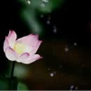 佛心师志 