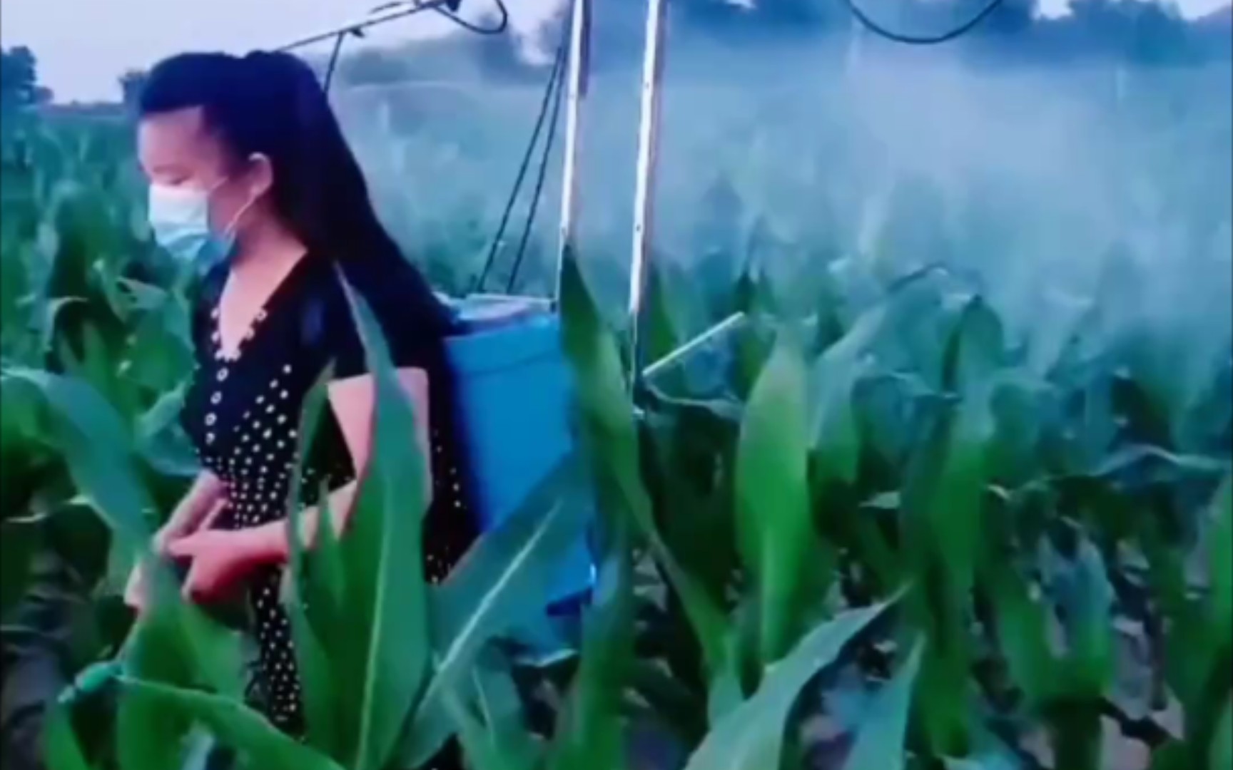 最新款打药机,白钢材质,微试喷头,雾化效果最佳,高低可调,可折叠,特别...