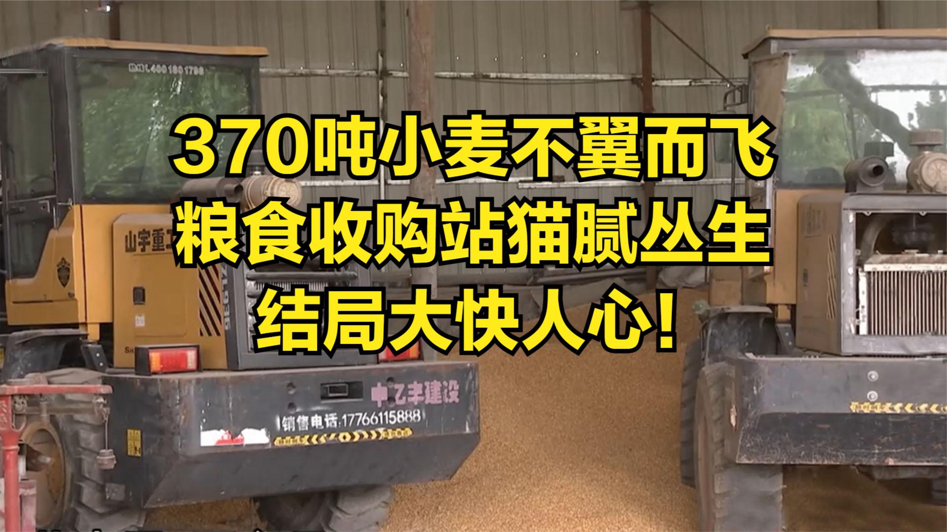 370吨小麦不翼而飞,粮食收购站猫腻丛生,结局大快人心!纪录片