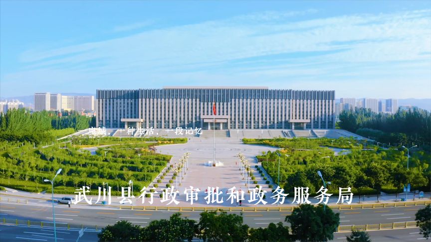 武川县行政审批和政务服务局