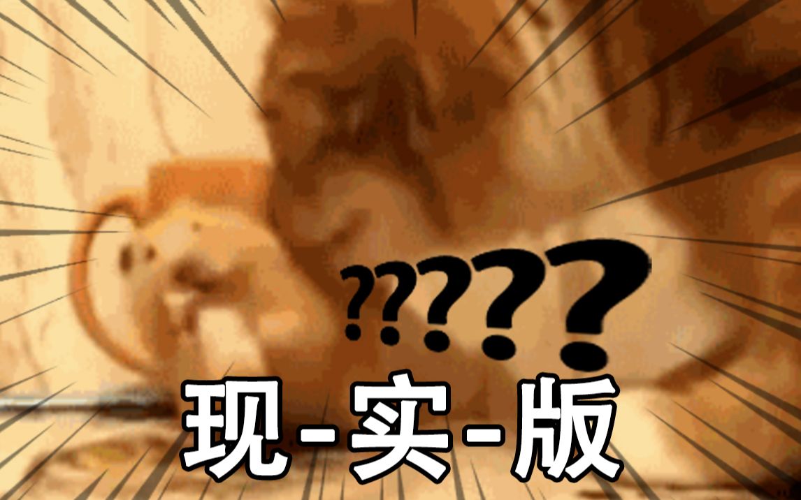 证据来啦!“猫和老鼠”的故事居然都是真的.