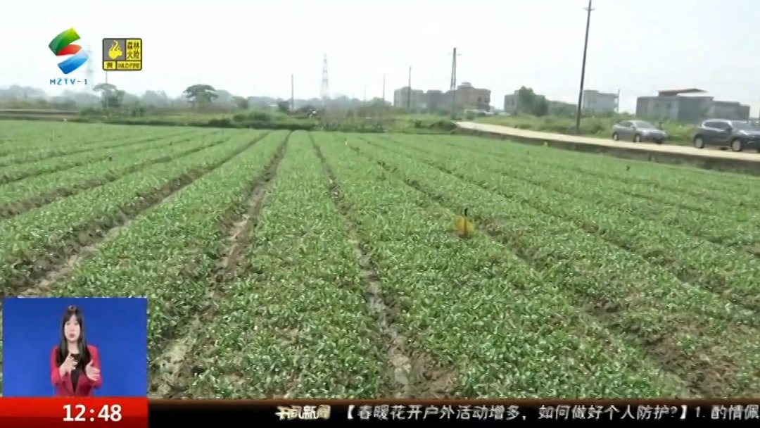 惠城区大力实施高标准基本农田建设
