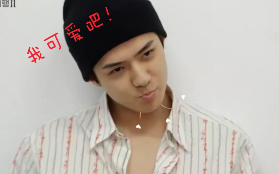 爱丽的EXO辛苦了❤️!这盛世由爱丽与小天一起守护!