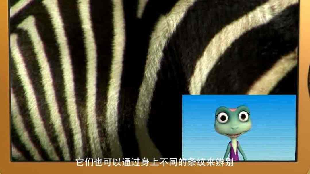 野生动物宝宝:蜥蜴老师介绍草原动物了,快来看看吧