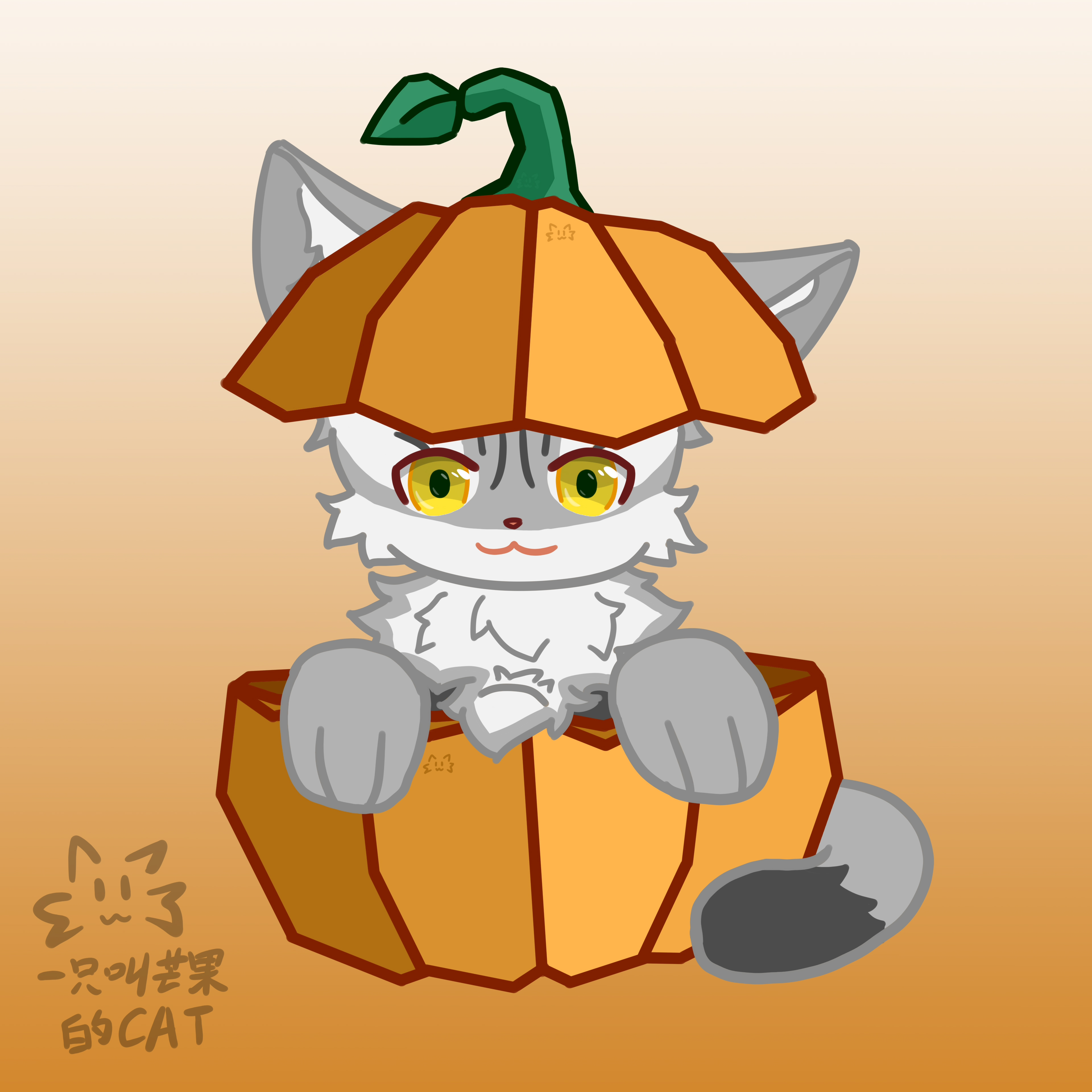 一只叫芒果的Cat 