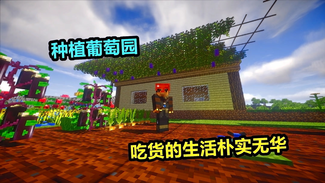 我的世界:暗墨的生存 11 吃货的生活朴实无华种植葡萄园