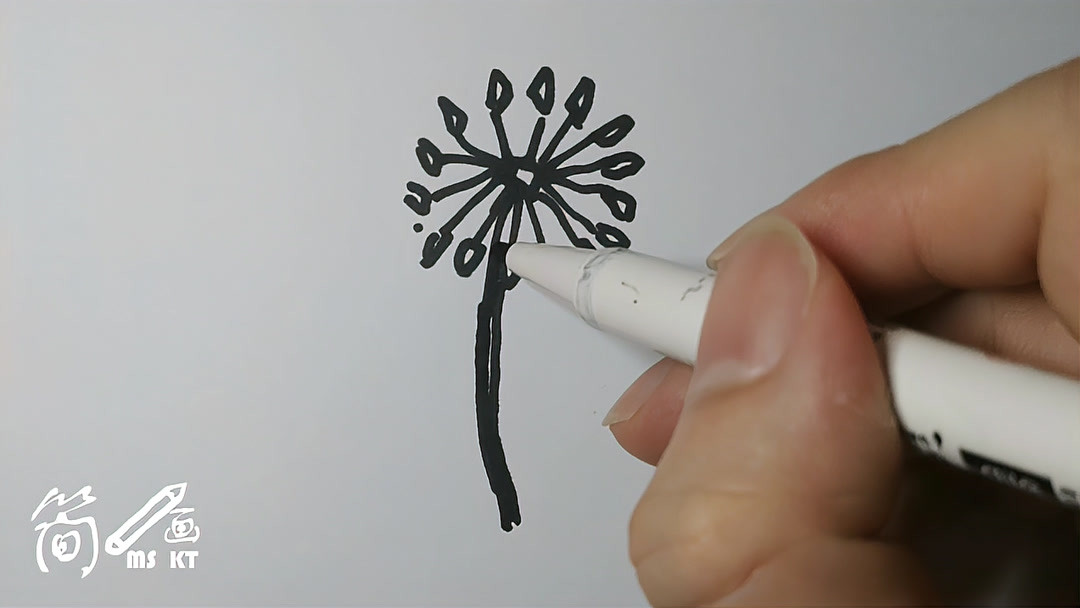 简笔画:在生长的(蒲公英)
