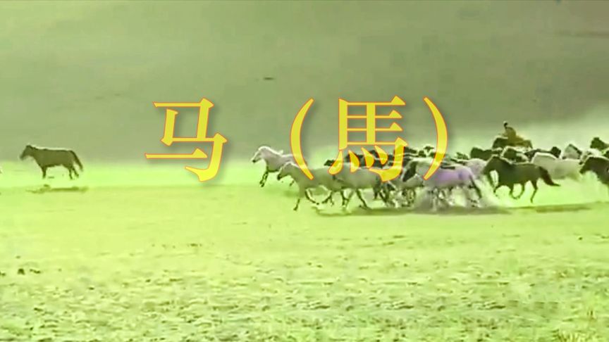 【象形识字】马的字源动画 马的古文动画 汉字动画很有趣
