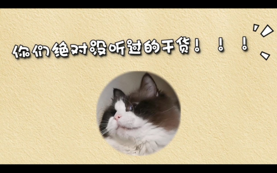 猫咪厌食、绝食的治疗分享