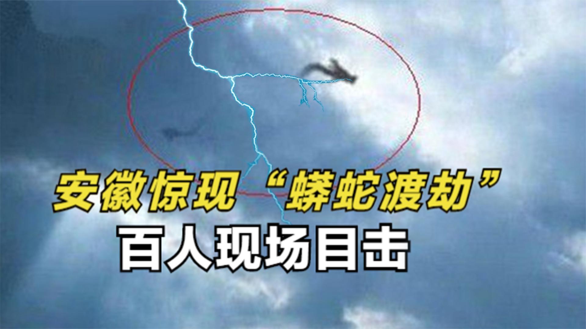 安徽惊现巨蟒"渡劫"?村民称其亲眼目睹,千年蟒蛇渡劫遭雷劈