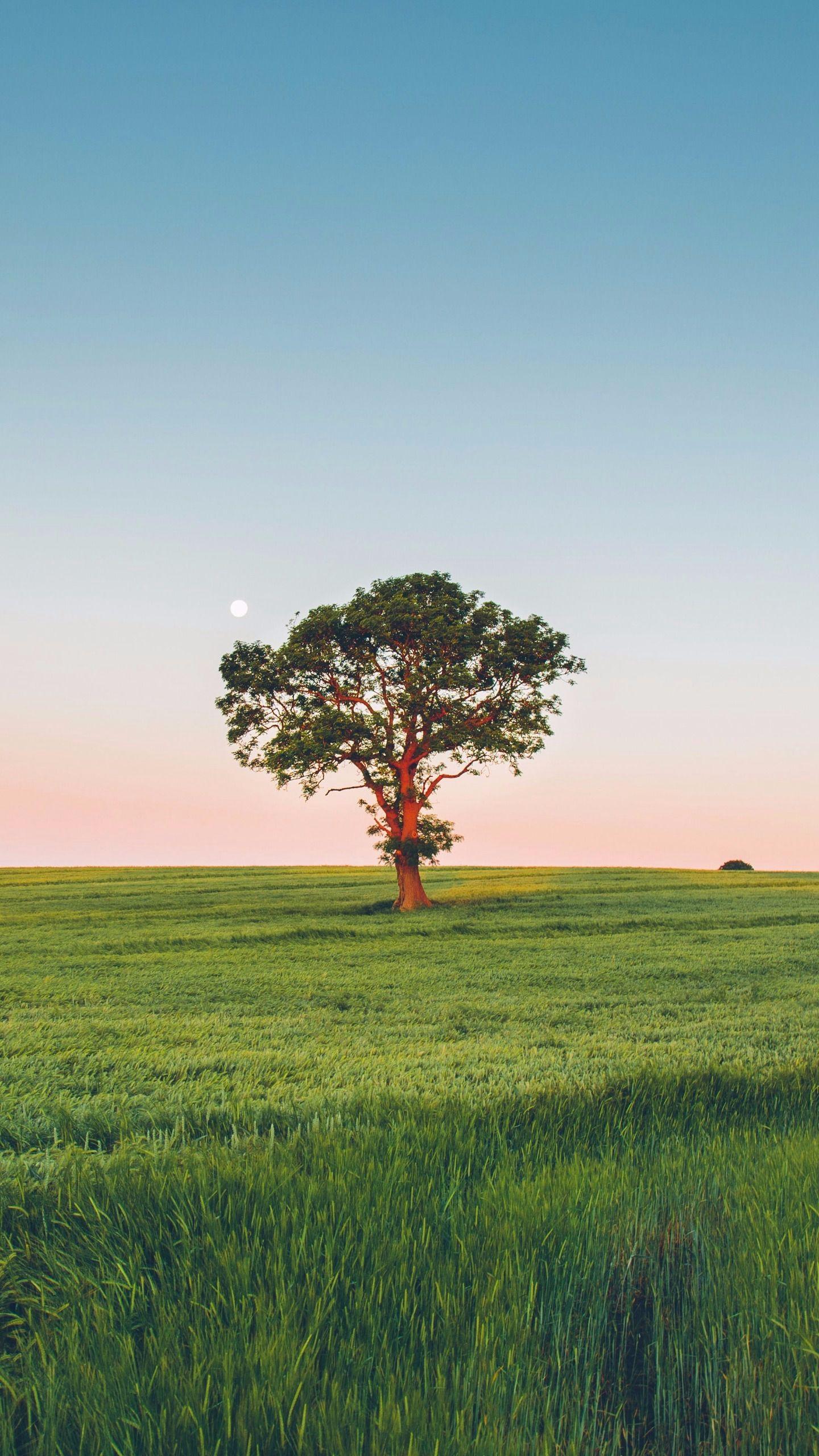 小小的彩色天空 