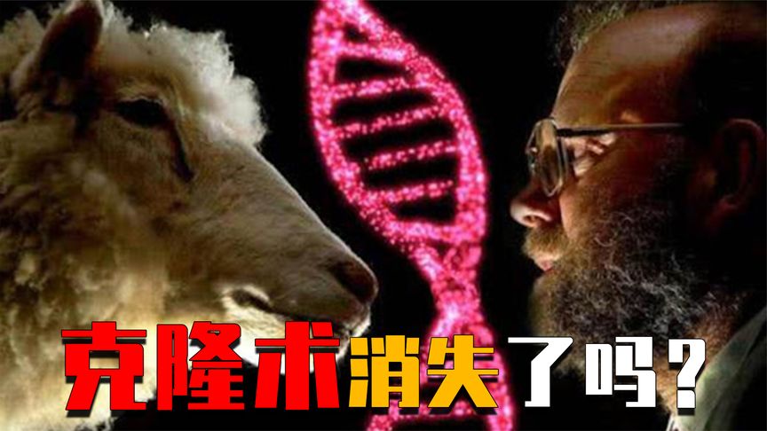 克隆技术是怎么“消失”的?看看克隆羊多莉的一生,或许你会明白