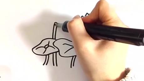 米老师简笔画《荷花》