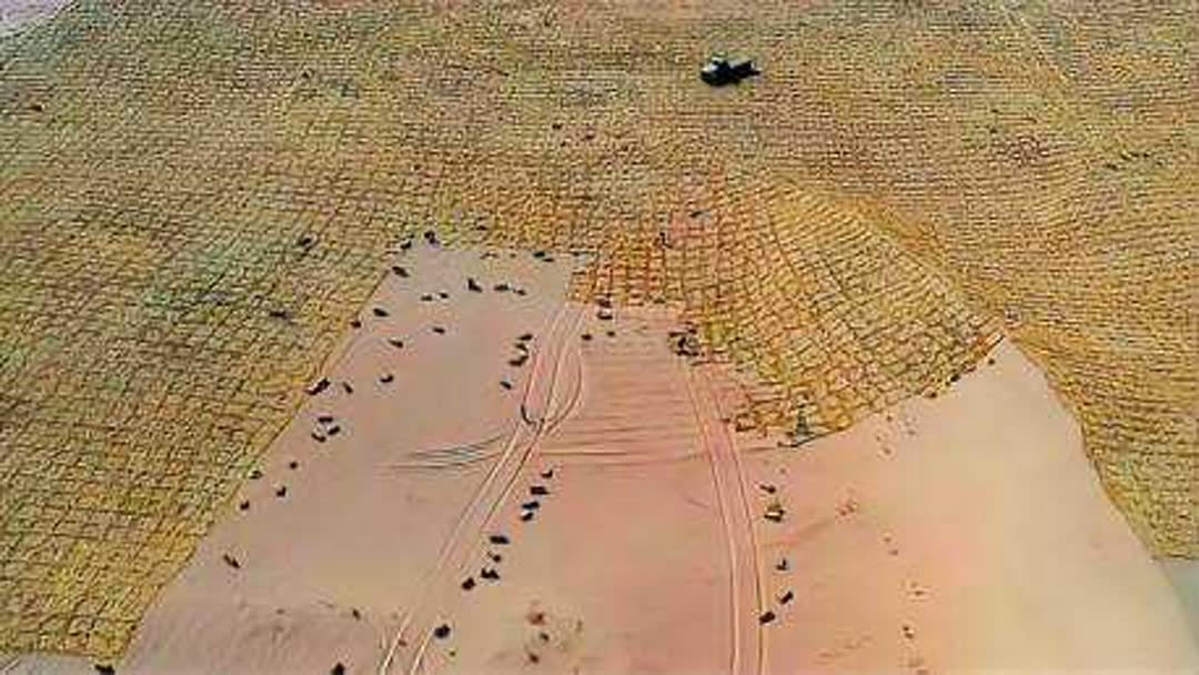 当初斥巨资打造的蚂蚁森林,4年后成啥样了?看完卫星图让人感动