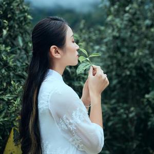 一片叶7z4h 