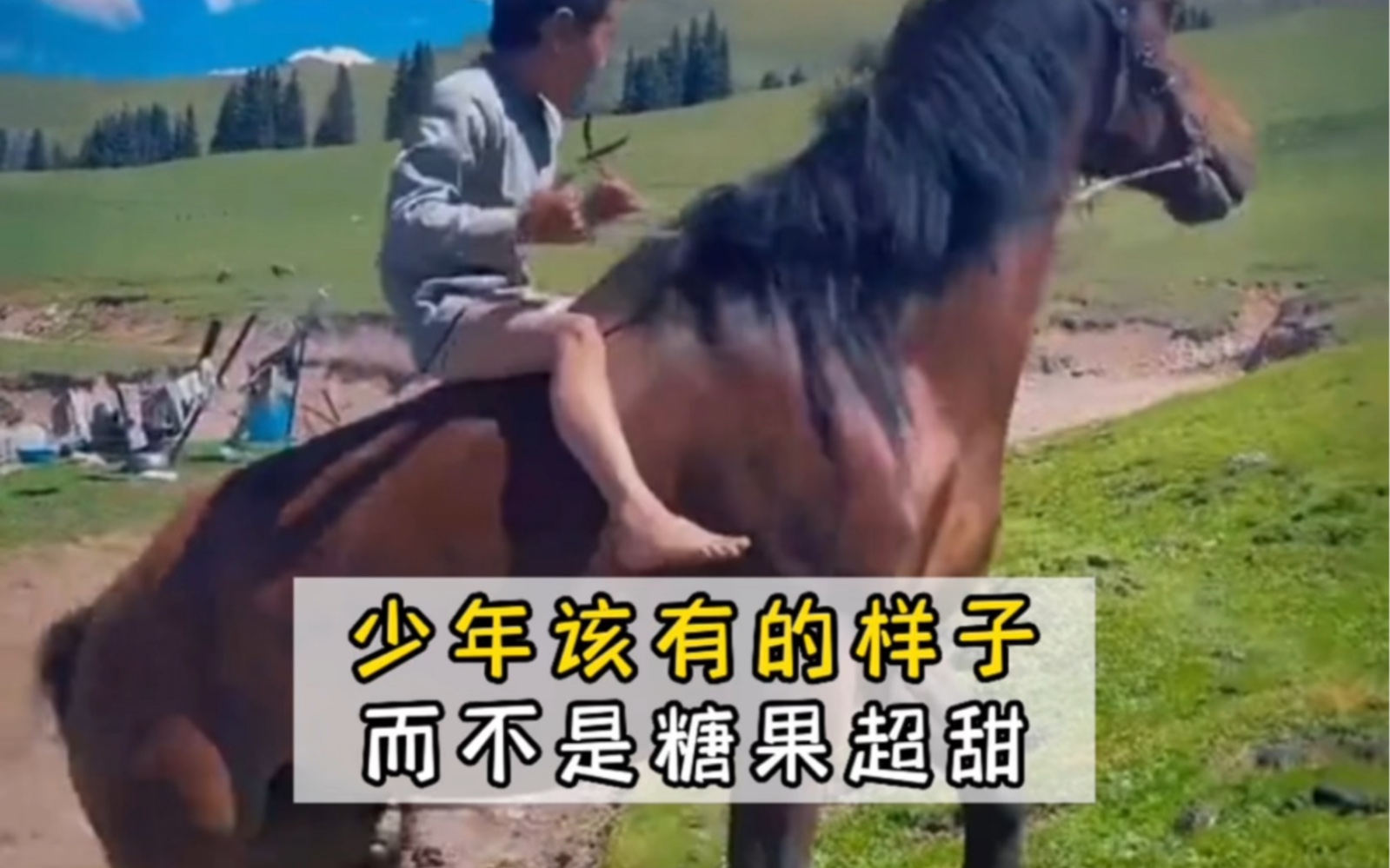 这才是少年该有的样子,而不是糖果超甜!