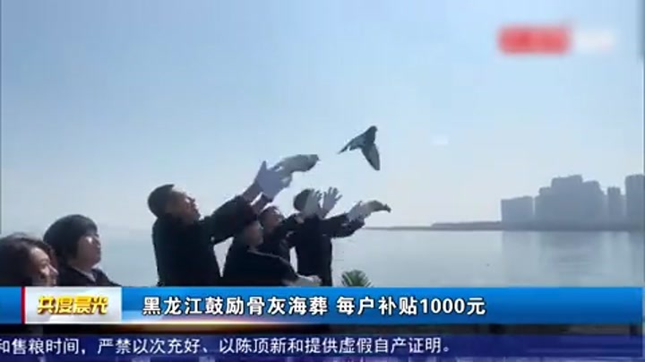 黑龙江鼓励骨灰海葬:每户补贴1000元,全年接受报名