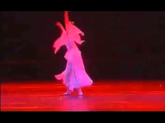 民族舞蹈视频大全-独舞《风》