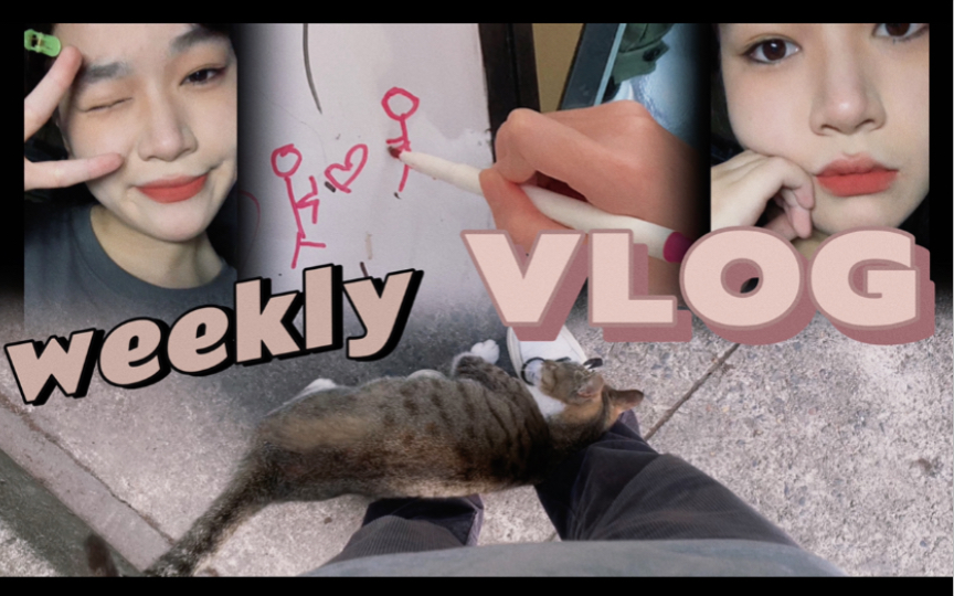 YUE VLOG|不专业的沉浸式化妆· 和猫猫贴贴· 毕业倒计时