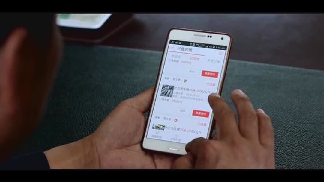 大数据时代!互联网能为养猪人带来什么?