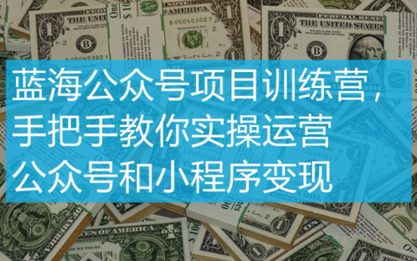 蓝海公众号项目训练营,手把手教你实操运营公众号和小程序变现