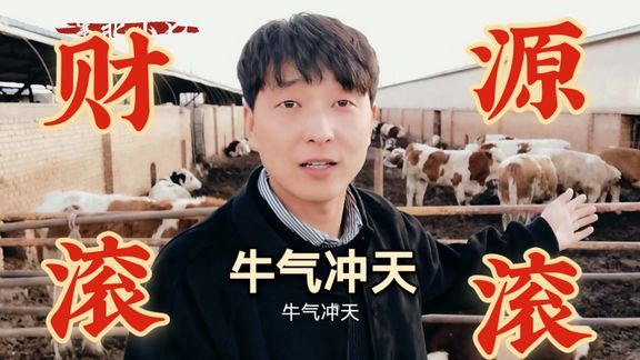 工人请假回家过年,600头牛小伙一家忙的不可开交,给大家拜个年