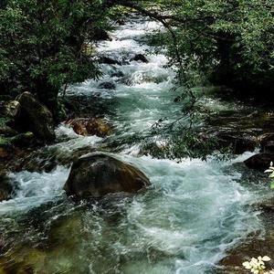 勇往直前的英兔 