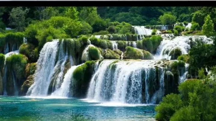 中华传统文化传承者