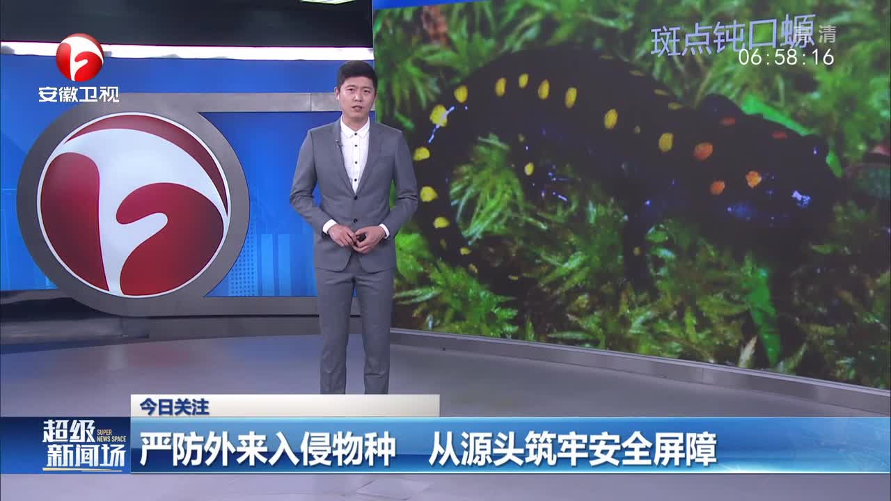 严防外来入侵物种 从源头筑牢安全屏障