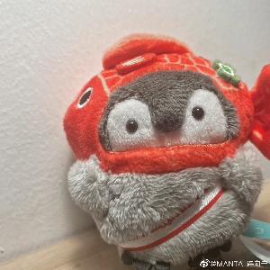 兮沐芳 