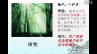 生态系统的组成