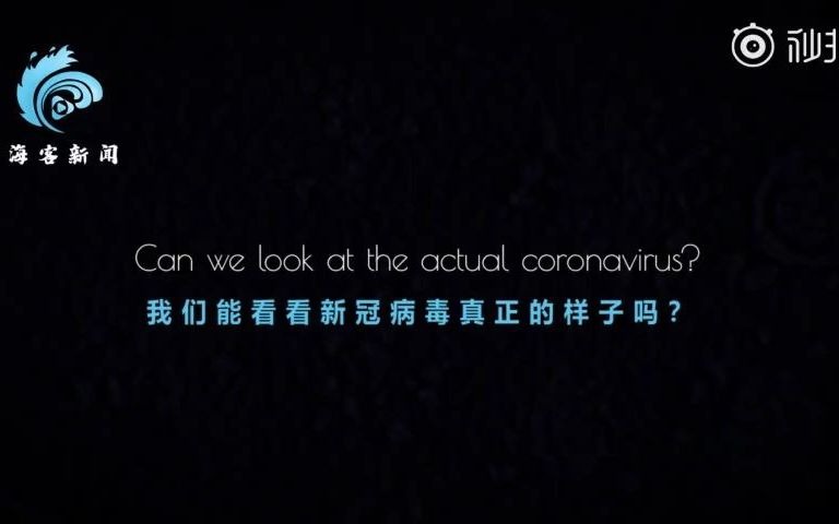 新冠病毒的样子