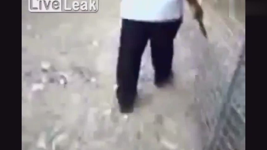 实拍巨型牧羊犬与野狼大战,高加索和中亚真凶猛,直接把狼咬死