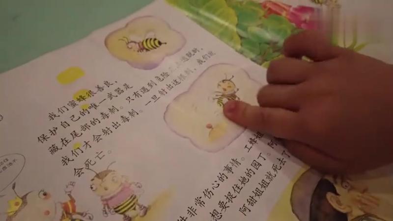 儿子尝试自己讲绘本故事《蜜蜂的日记》