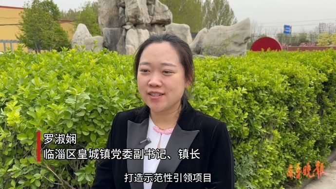 果然视频|临淄皇城:数字化推动产业化,打造高标准蔬菜产业基地