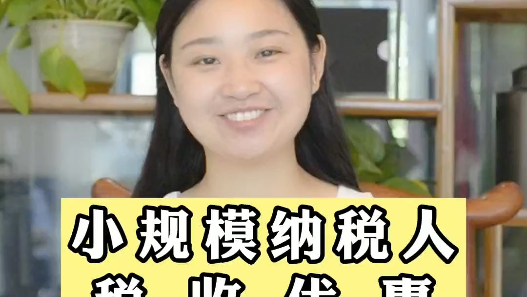 小规模纳税人税收政策