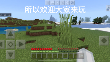 我的世界新凭租服开坑