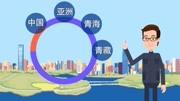 一起行动,让非法社会组织无处藏身