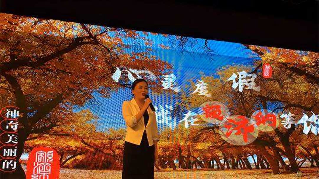 视频:王佳-西安市阿拉善商会成立大会暨阿拉善盟推介会上做推介