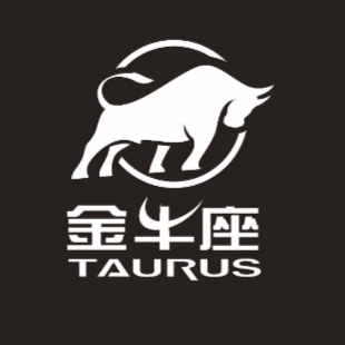 万能支撑器 