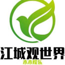 江城看世界 