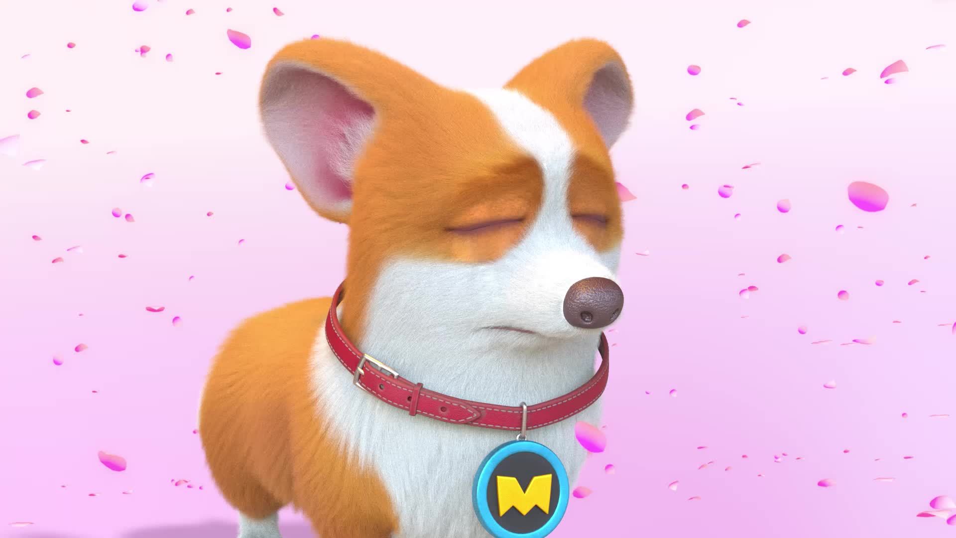 飞狗MOCO:主人求我不要走?