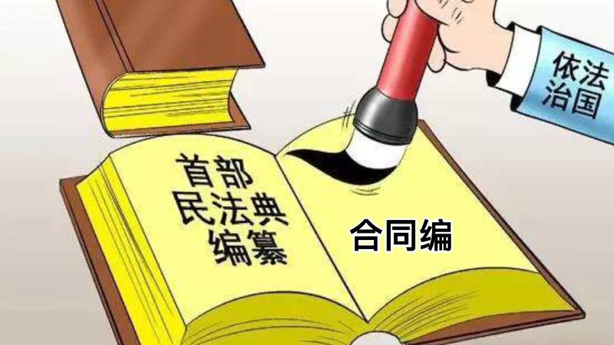 民法典系列普法动漫——合同编#民法典 #民法典护航美好生活