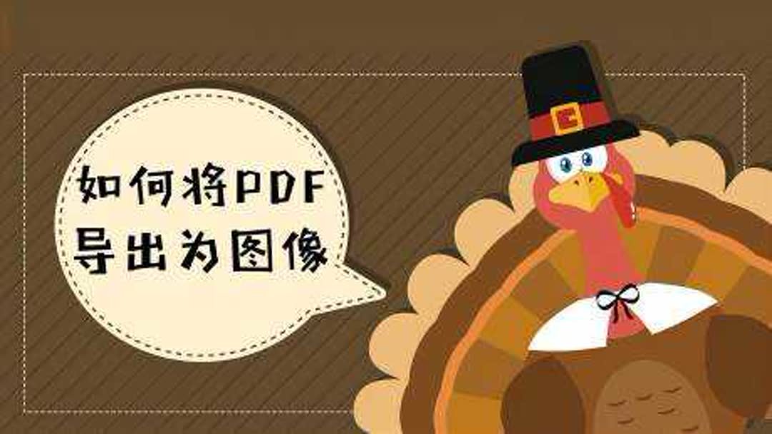 如何将PDF导出为图像?