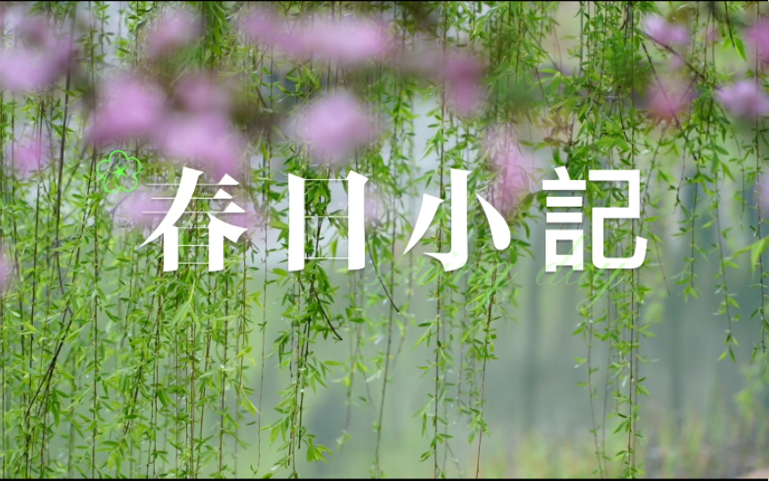 语文老师的摄影日记,为什么在人物之间穿插环境描写镜头,就当是为接...