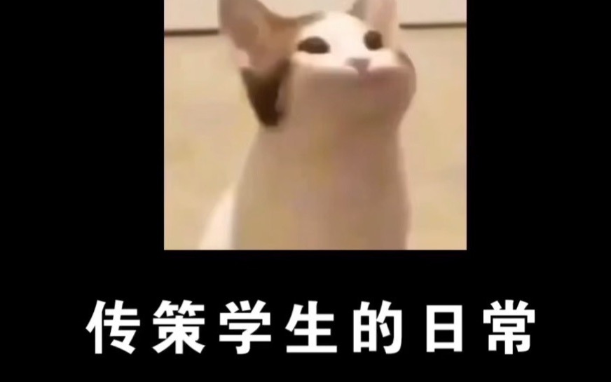 ...专业学习的一天吧～ 【专业短视频】东方电影学院——传播与策划专业