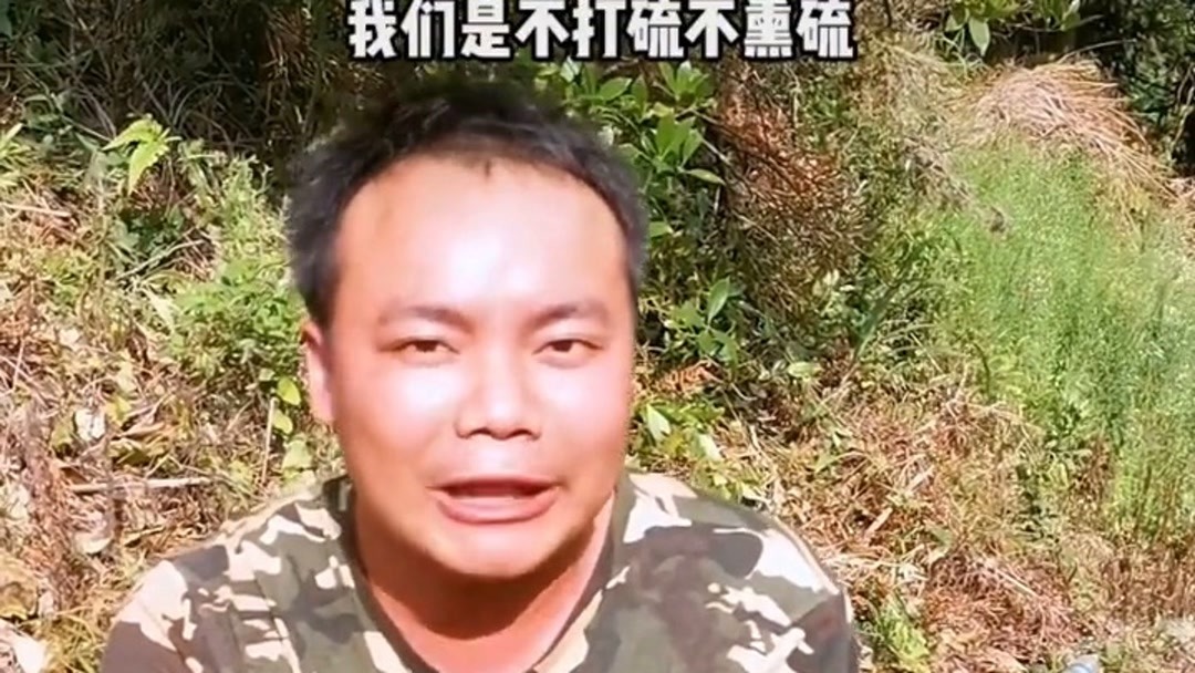 不打硫不熏硫晒到足干的八角哦