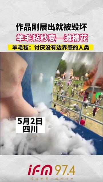 作品刚展出就被毁坏 羊毛毡秒变一摊棉花 羊毛毡:讨厌没有边界感的人类